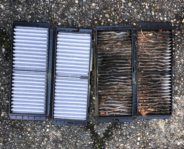 Everything you Need to Know about your Car's Cabin Airfilter